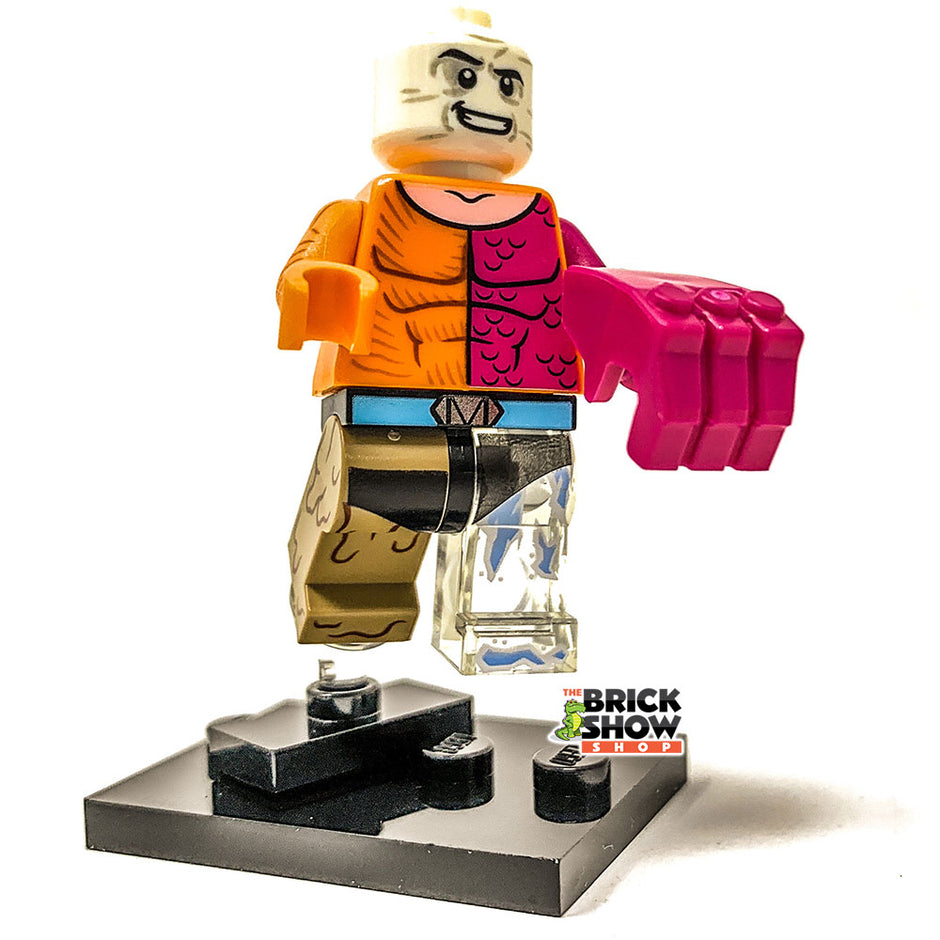 Metamorpho - LEGO DC Comics Collectible Minifigure (Series 1) – The ...